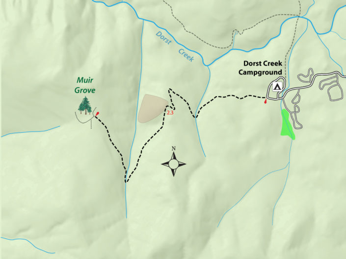Muir Grove | Modern Hiker