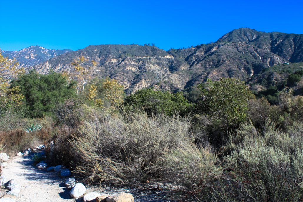 Henninger Flats in the San Gabriel Mountains | Modern Hiker