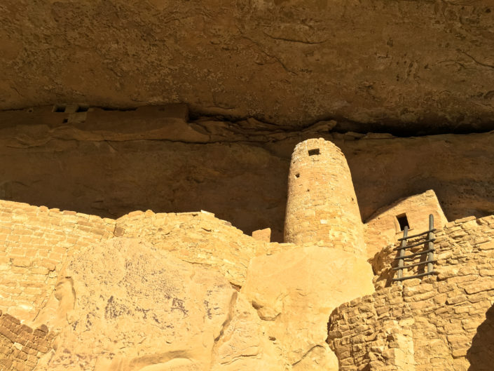 Cliff Palace in Mesa Verde National Park | Modern Hiker