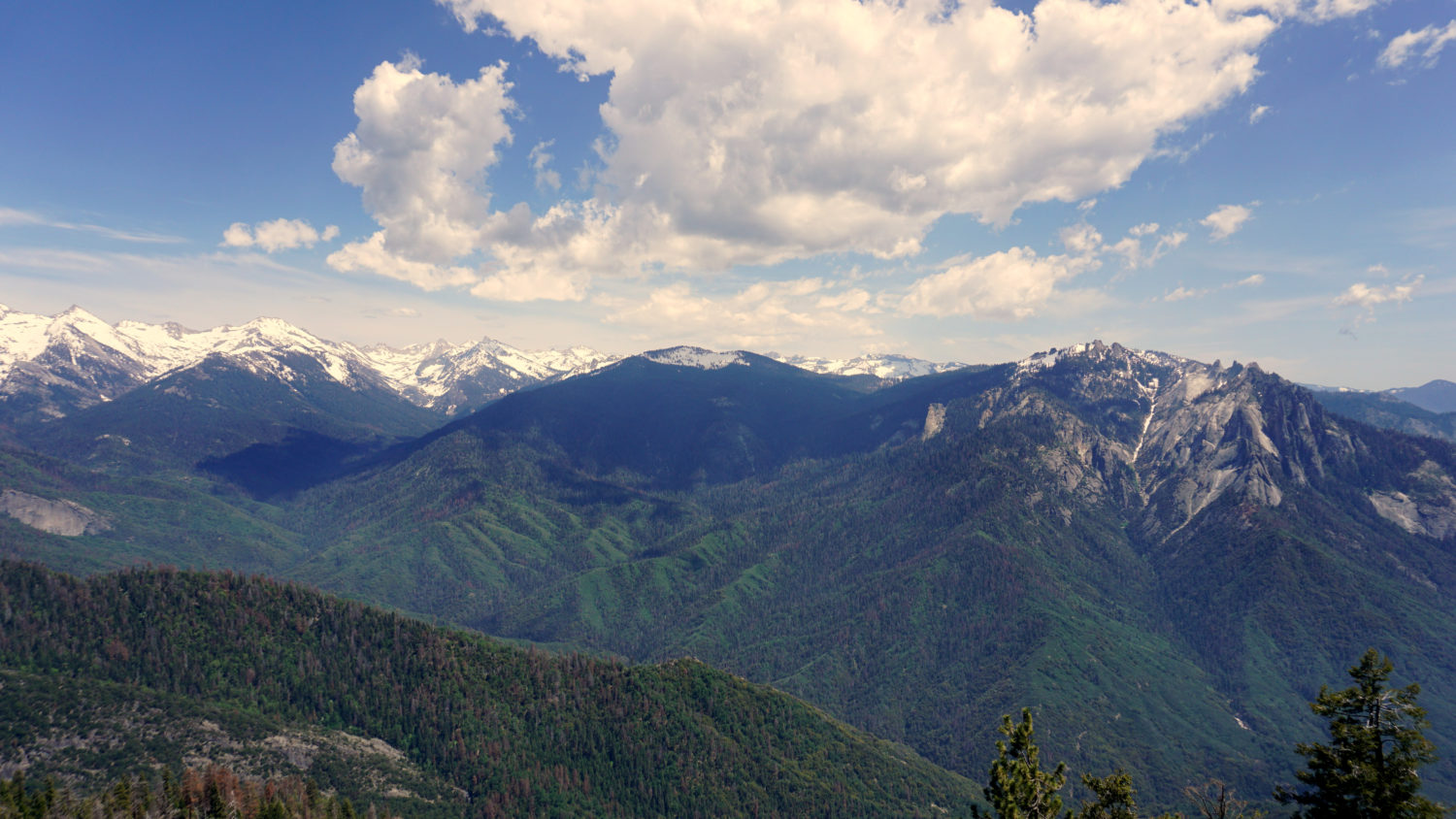 Wolverton Cut-Off Trail in Sequoia National Park | Modern Hiker