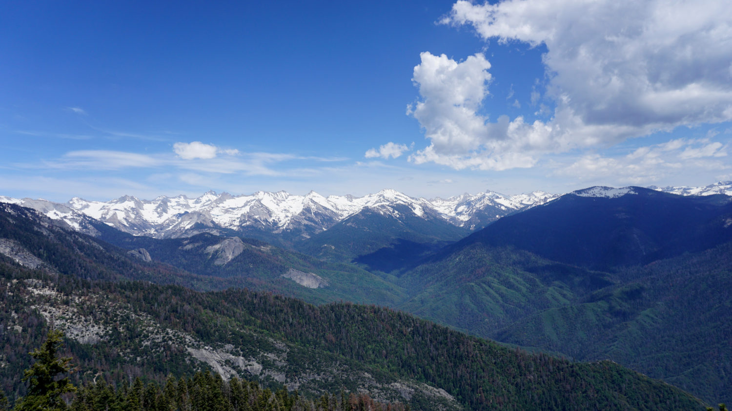 Wolverton Cut-Off Trail in Sequoia National Park | Modern Hiker