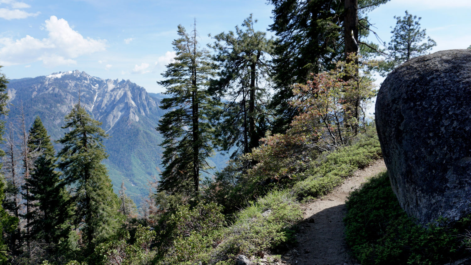 Wolverton Cut-Off Trail in Sequoia National Park | Modern Hiker