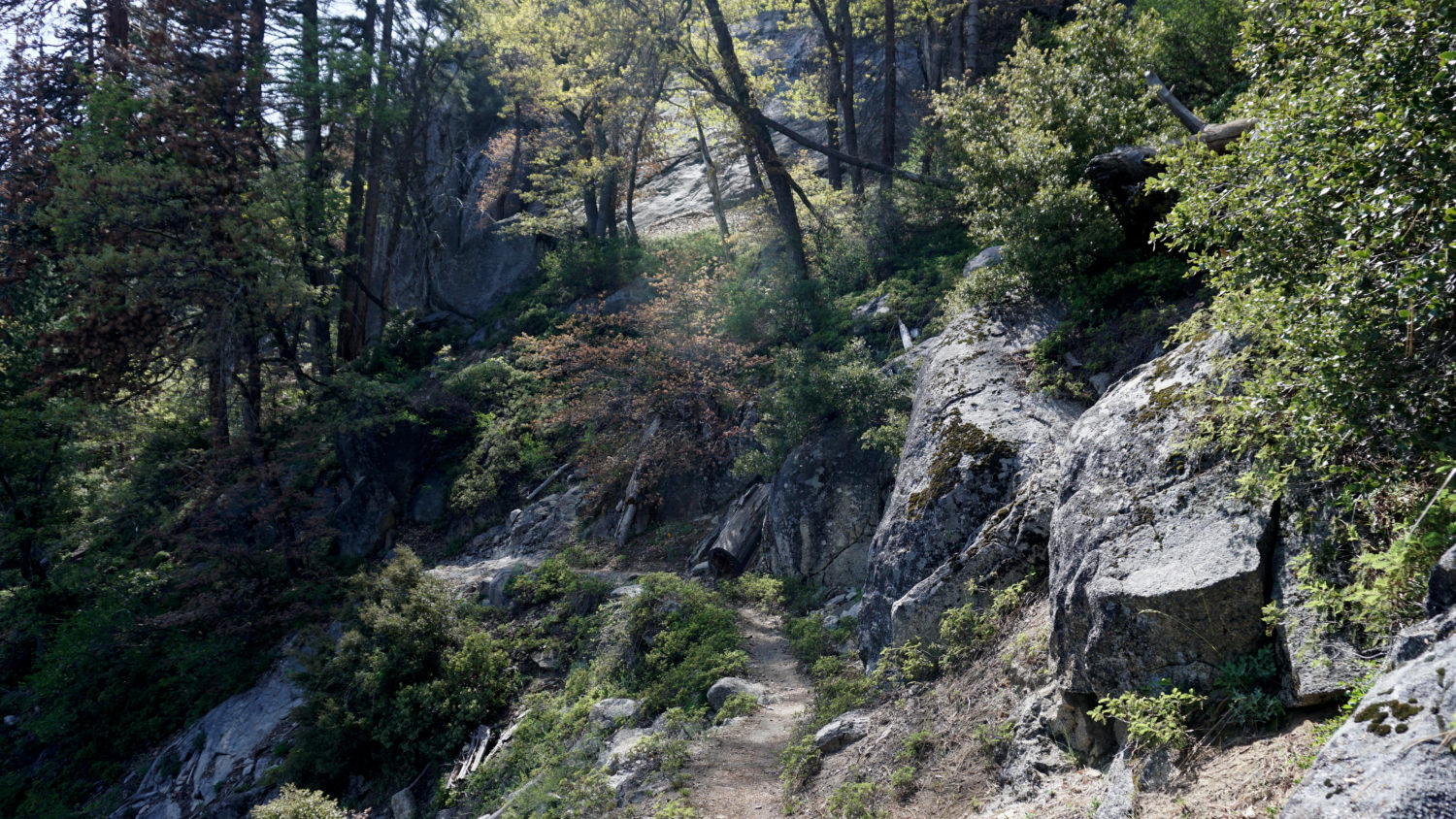 Wolverton Cut-Off Trail in Sequoia National Park | Modern Hiker