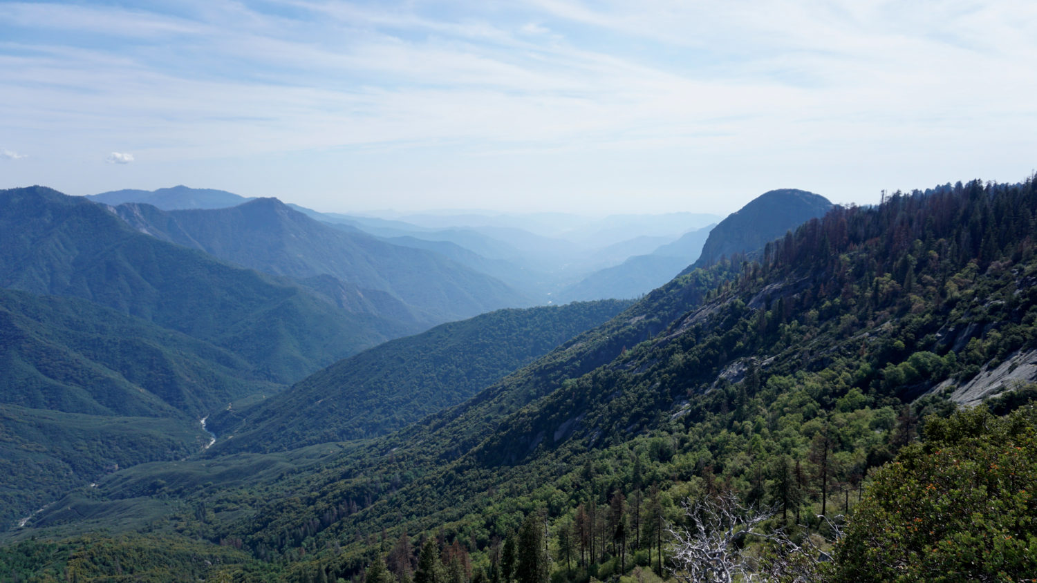 Wolverton Cut-Off Trail in Sequoia National Park | Modern Hiker