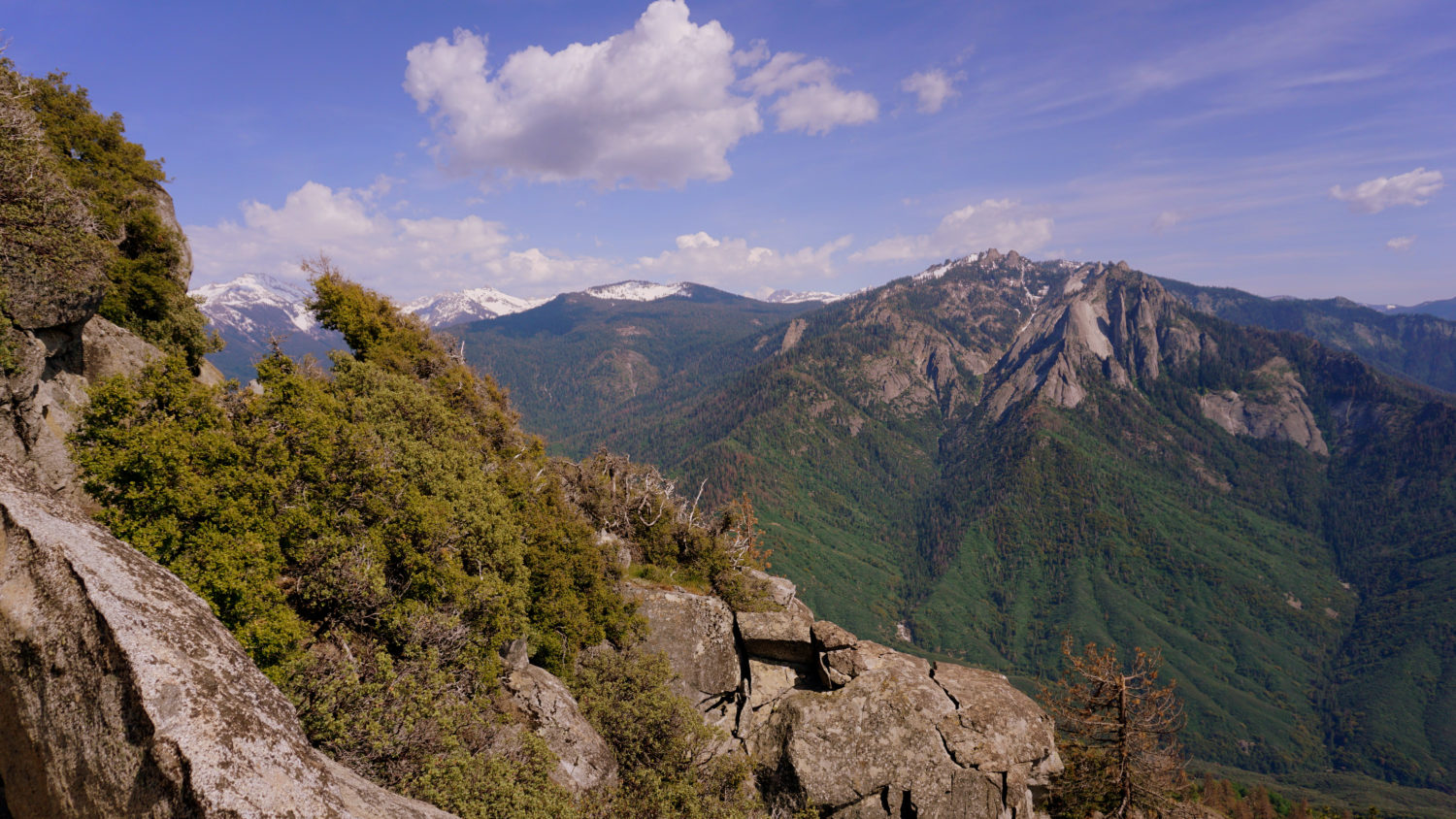 Wolverton Cut-Off Trail in Sequoia National Park | Modern Hiker