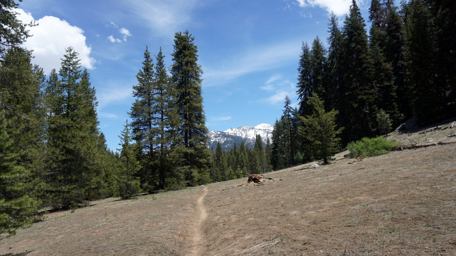Wolverton Cut-Off Trail in Sequoia National Park | Modern Hiker