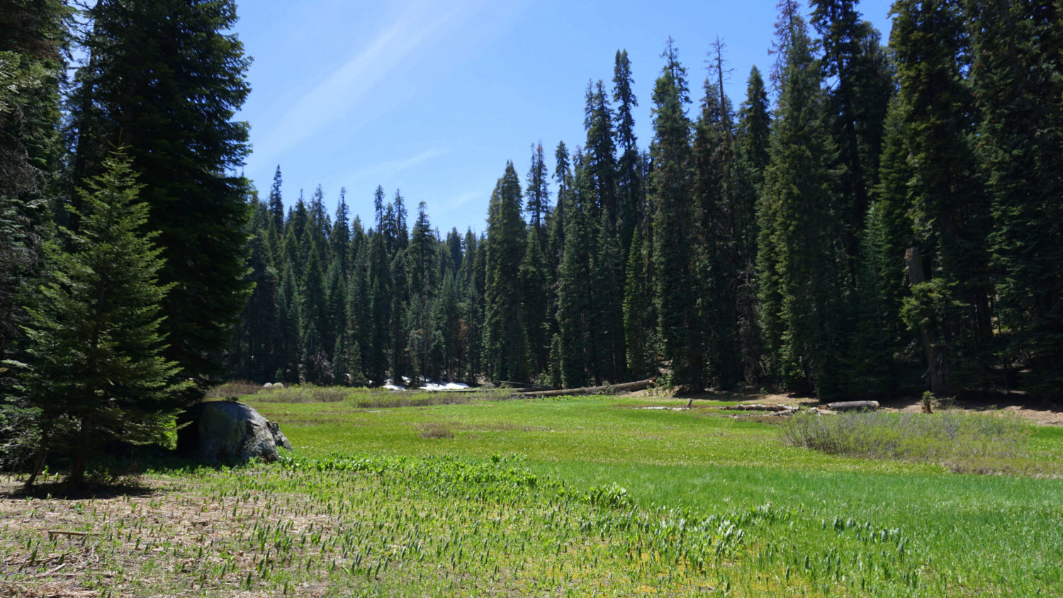 Wolverton Cut-Off Trail in Sequoia National Park | Modern Hiker