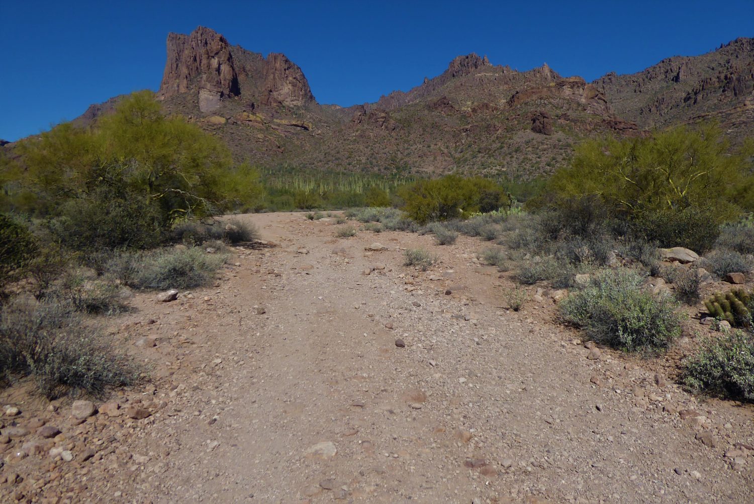 Wave Cave Trail | Modern Hiker