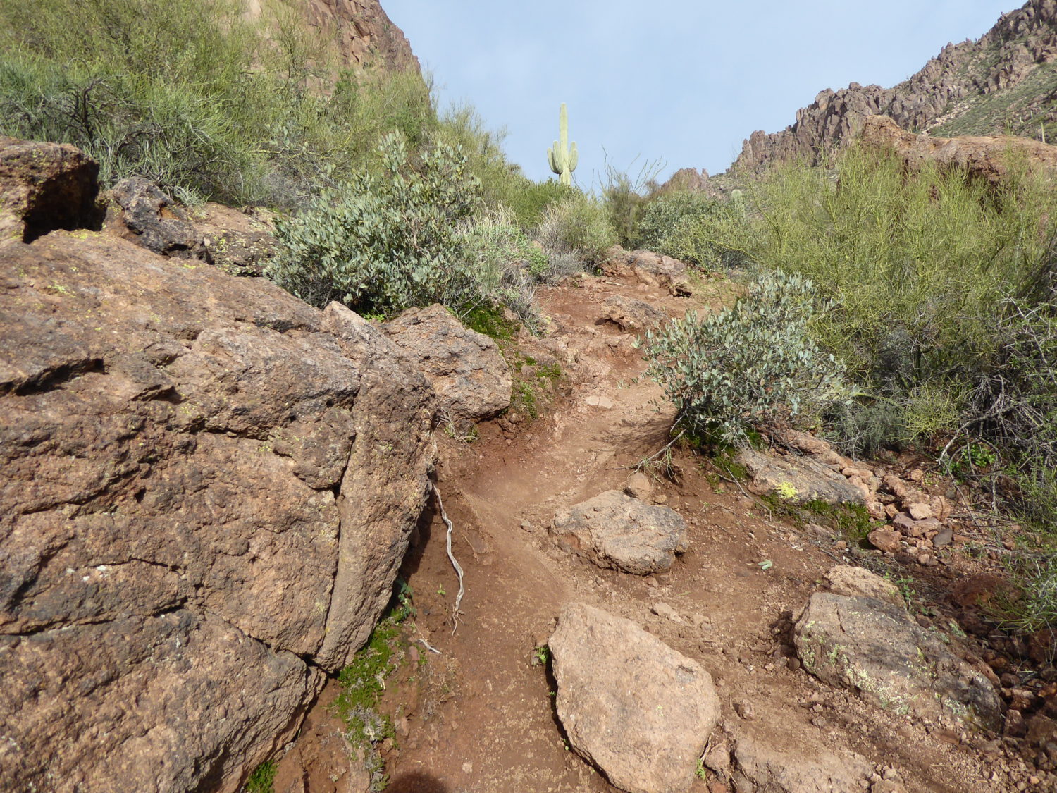 Wave Cave Trail | Modern Hiker