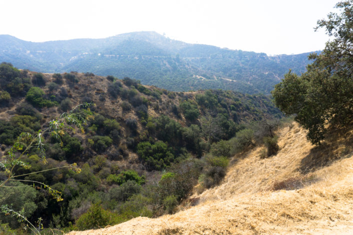Hollyridge Trail to the Hollywood Sign Viewpoint | Modern Hiker