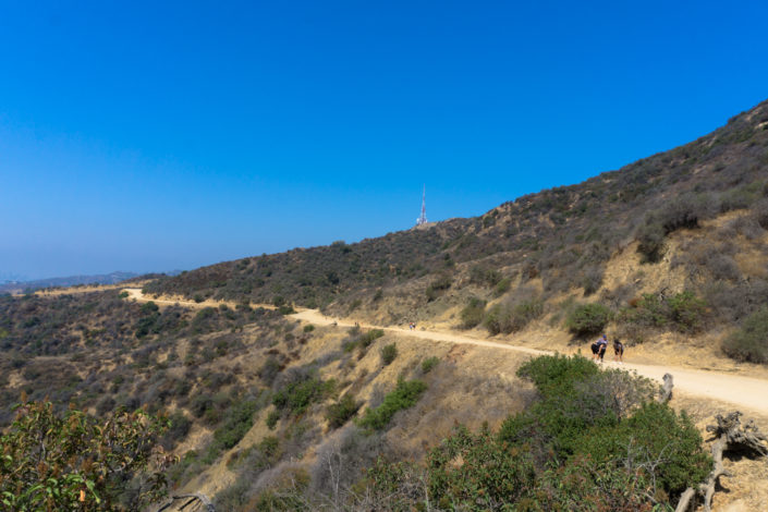 Hollyridge Trail to the Hollywood Sign Viewpoint | Modern Hiker
