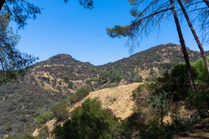 Three Mile Trail Hollywood Sign Loop in Griffith Park | Modern Hiker
