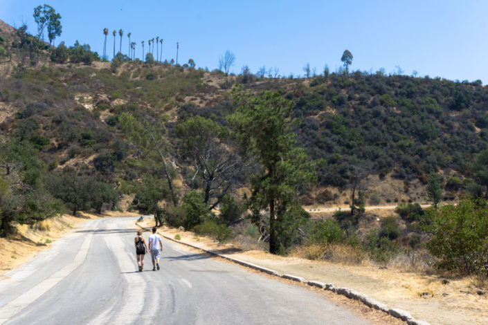Three Mile Trail Hollywood Sign Loop in Griffith Park | Modern Hiker