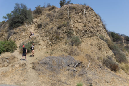 Three Mile Trail Hollywood Sign Loop in Griffith Park | Modern Hiker