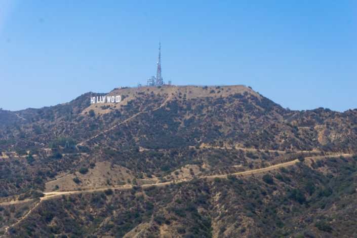 Three Mile Trail Hollywood Sign Loop in Griffith Park | Modern Hiker