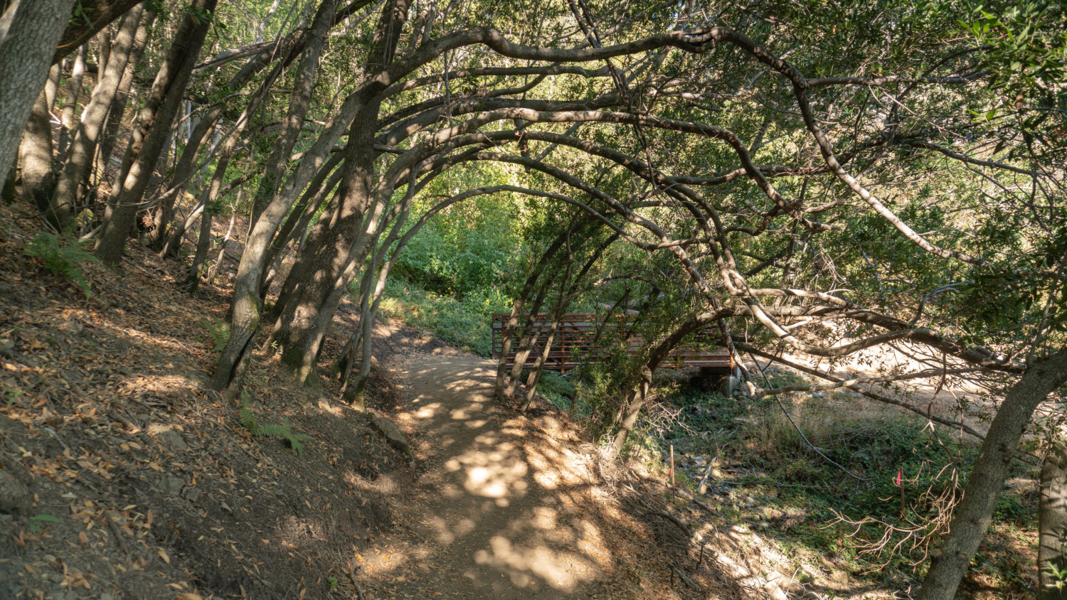 Mount Umunhum | Modern Hiker