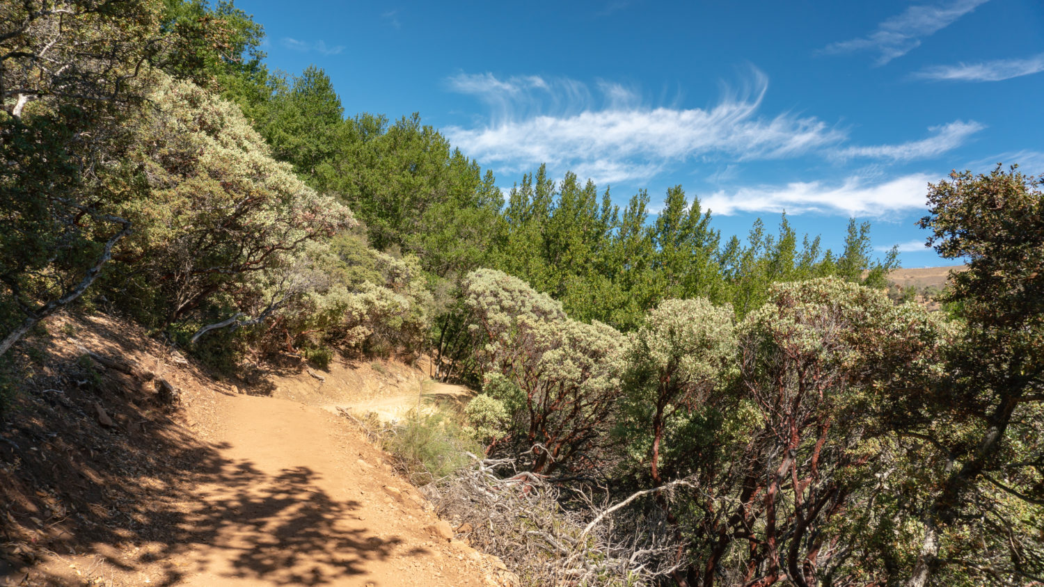Mount Umunhum | Modern Hiker