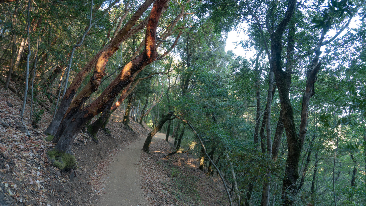 Mount Umunhum | Modern Hiker
