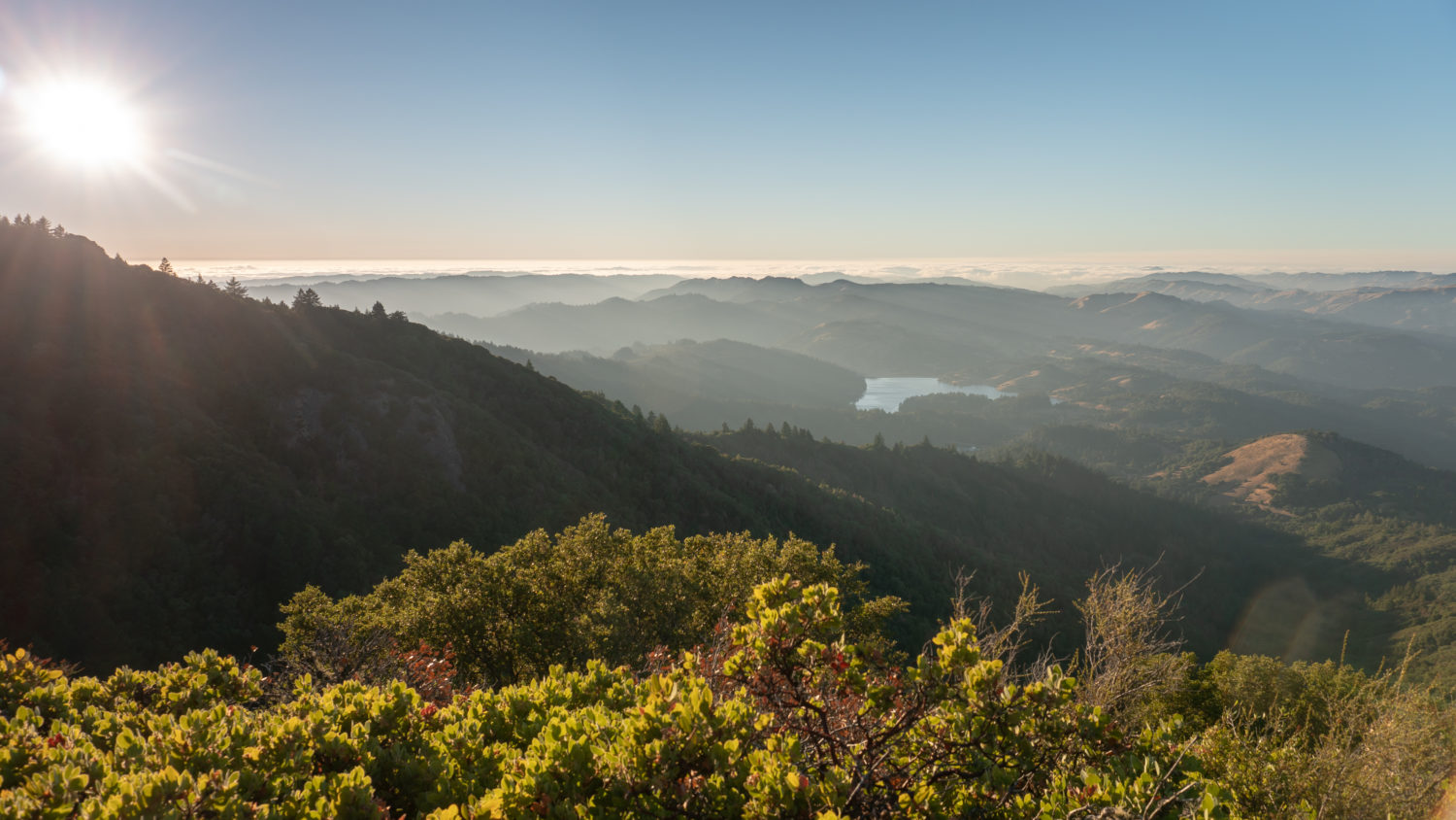 Verna Dunshee Trail and Gardiner Fire Lookout in Mount Tamalpais State ...