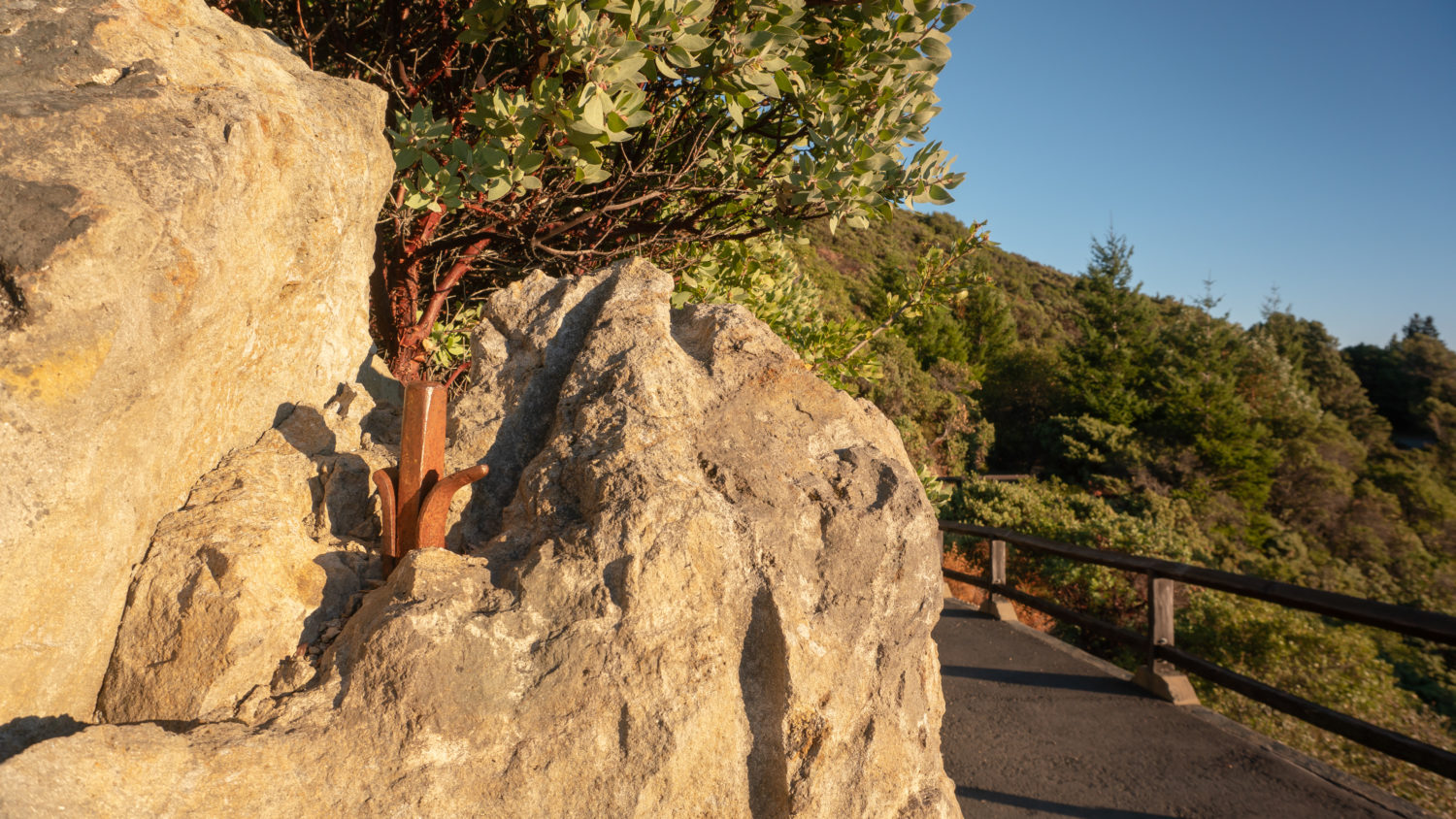 Verna Dunshee Trail and Gardiner Fire Lookout in Mount Tamalpais State ...
