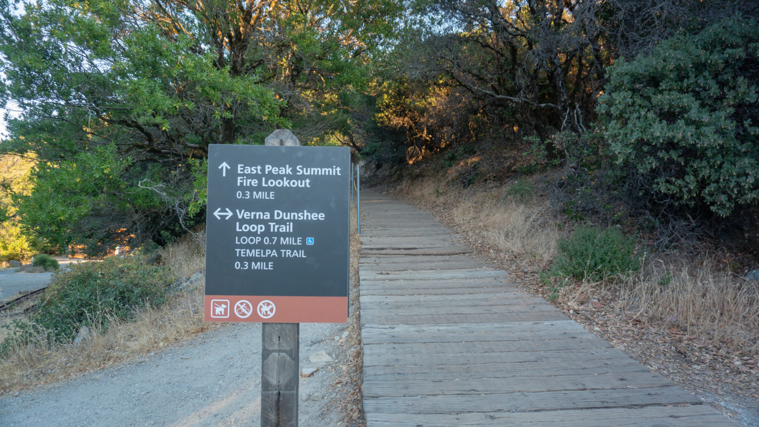 Verna Dunshee Trail and Gardiner Fire Lookout in Mount Tamalpais State ...