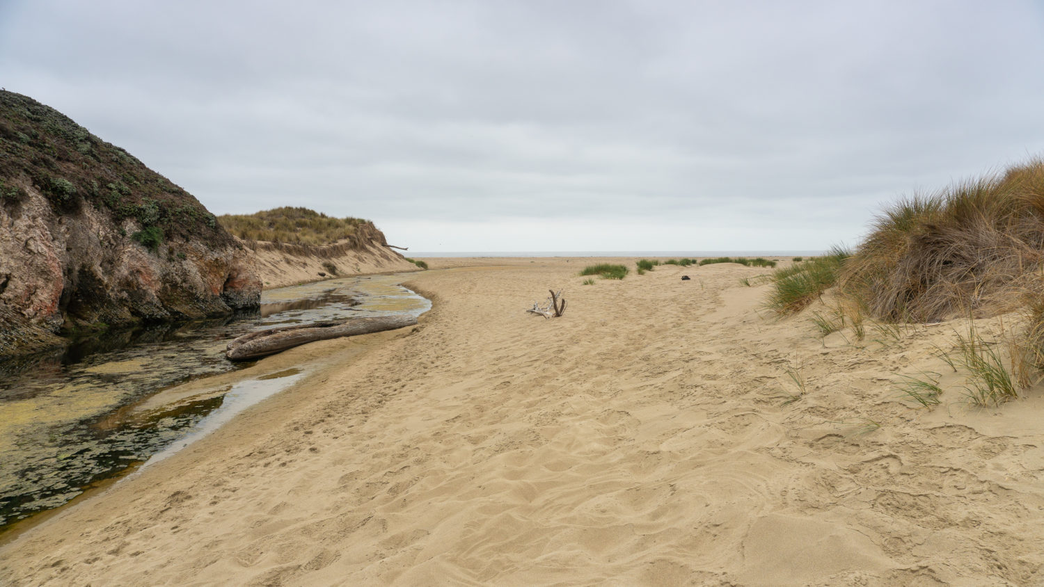 Kehoe Beach on the Point Reyes National Seashore | Modern Hiker