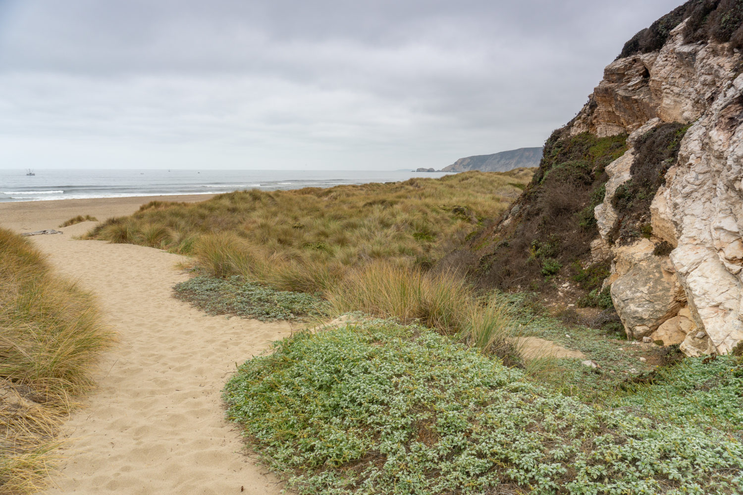 Kehoe Beach on the Point Reyes National Seashore | Modern Hiker
