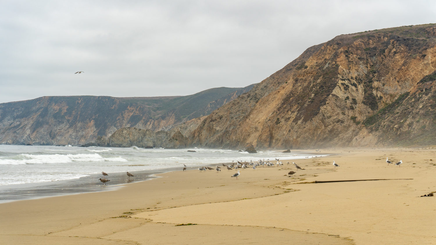 Kehoe Beach on the Point Reyes National Seashore | Modern Hiker