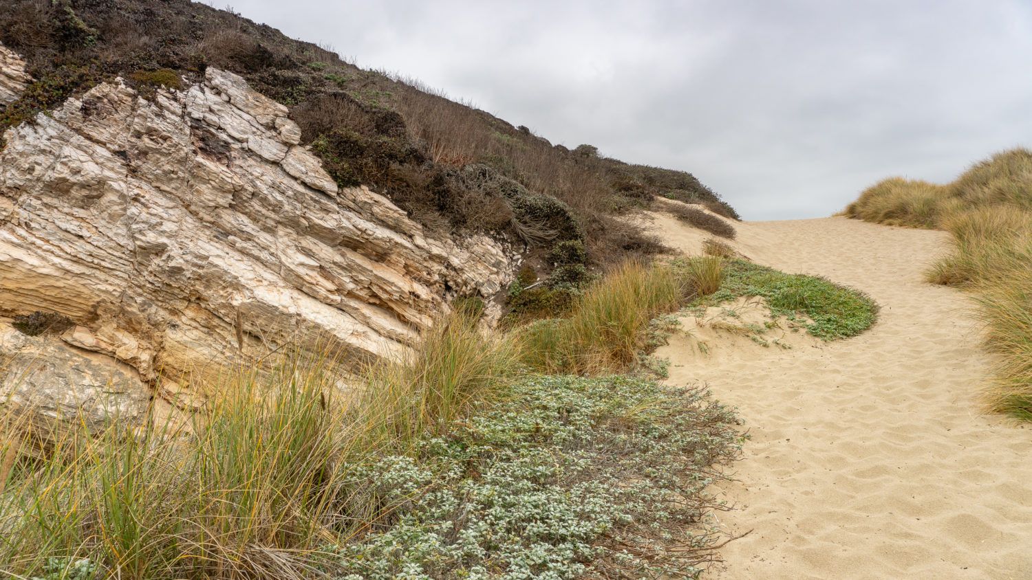 Kehoe Beach on the Point Reyes National Seashore | Modern Hiker