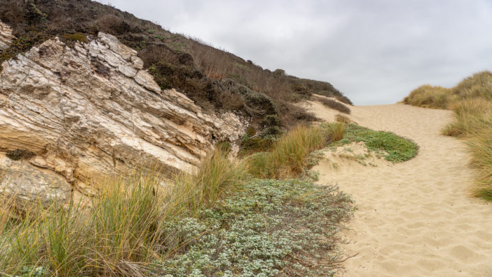 Kehoe Beach on the Point Reyes National Seashore | Modern Hiker