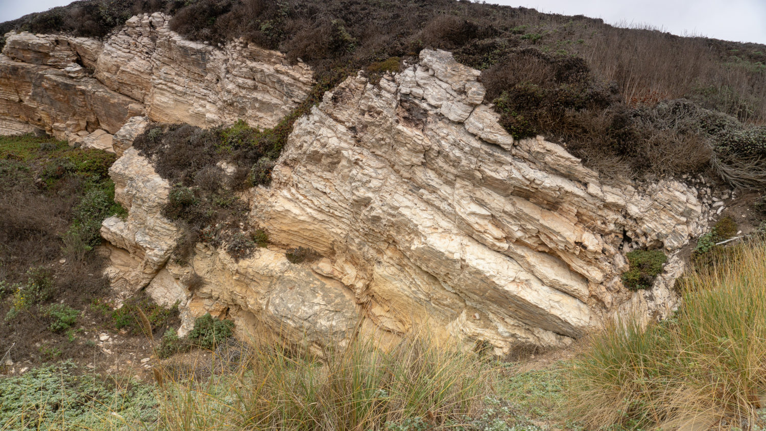 Kehoe Beach on the Point Reyes National Seashore | Modern Hiker