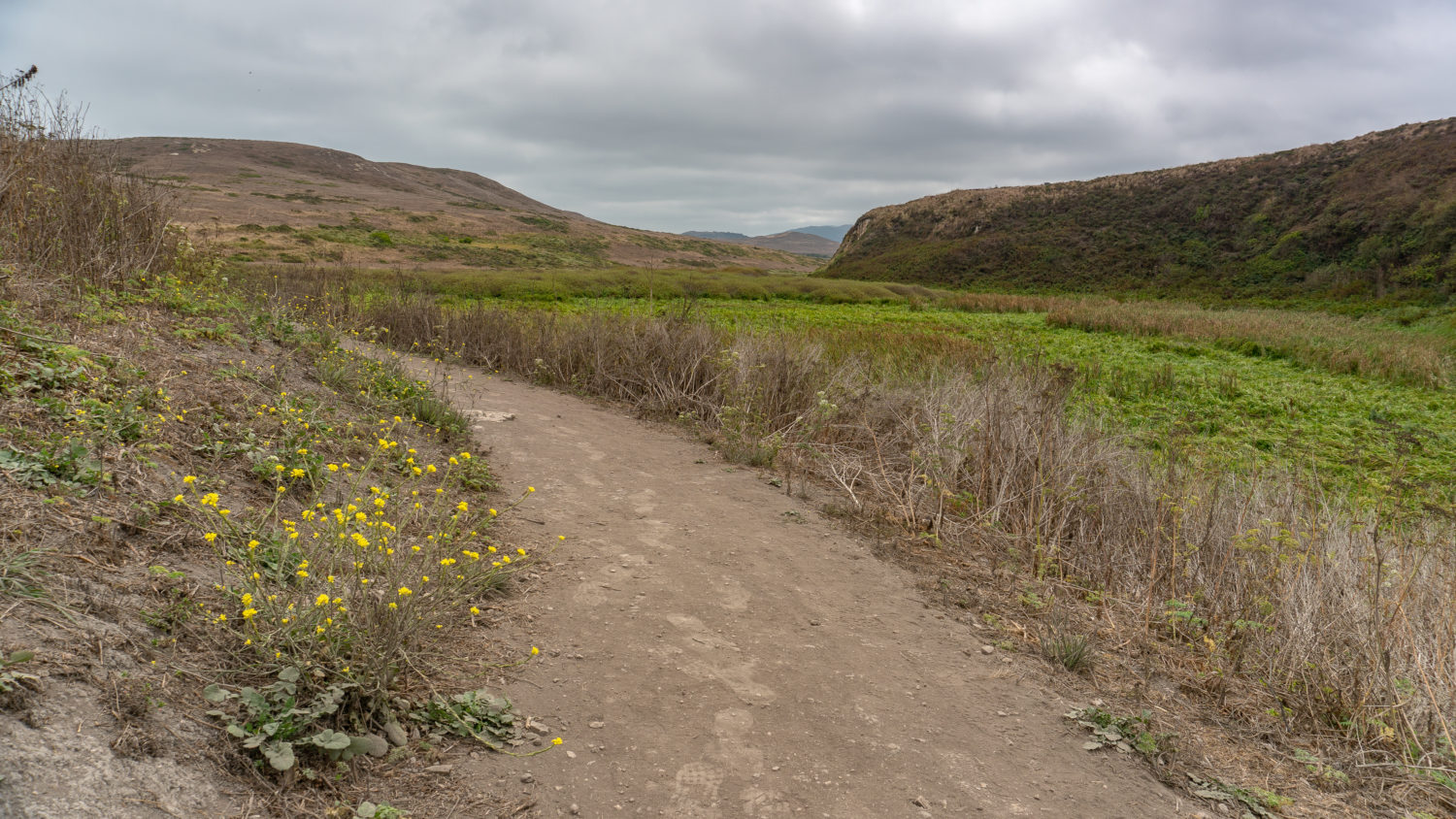Kehoe Beach on the Point Reyes National Seashore | Modern Hiker