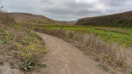 Kehoe Beach on the Point Reyes National Seashore | Modern Hiker