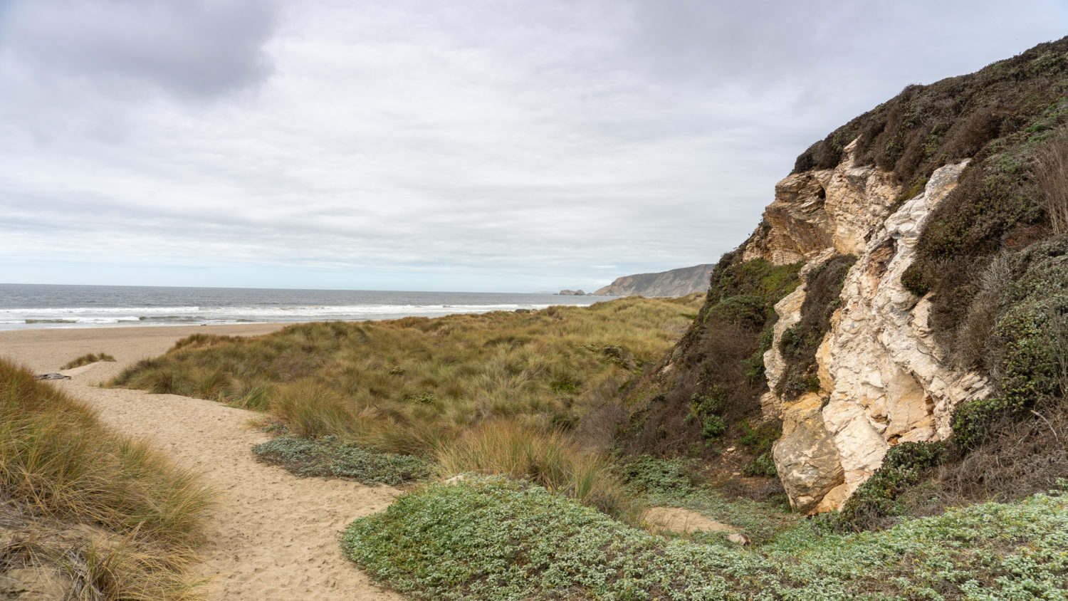Kehoe Beach on the Point Reyes National Seashore | Modern Hiker