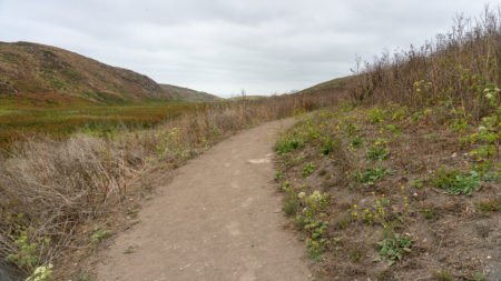 Kehoe Beach on the Point Reyes National Seashore | Modern Hiker