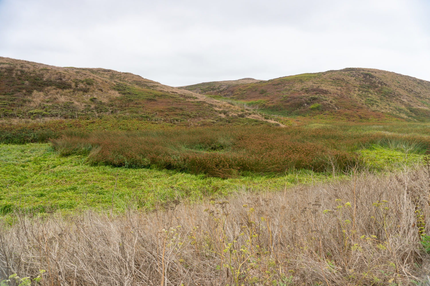 Kehoe Beach on the Point Reyes National Seashore | Modern Hiker