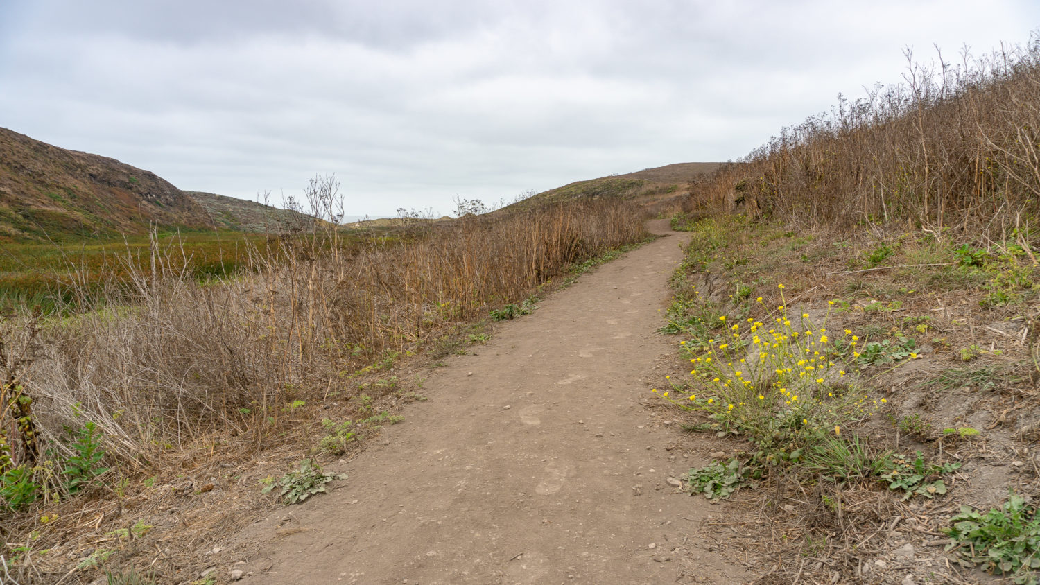 Kehoe Beach on the Point Reyes National Seashore | Modern Hiker