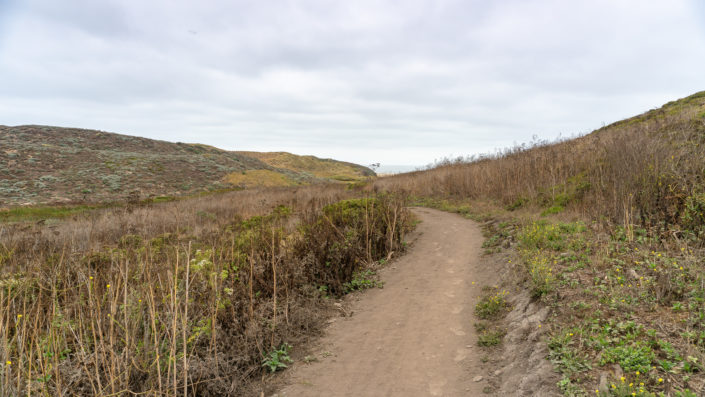 Kehoe Beach on the Point Reyes National Seashore | Modern Hiker