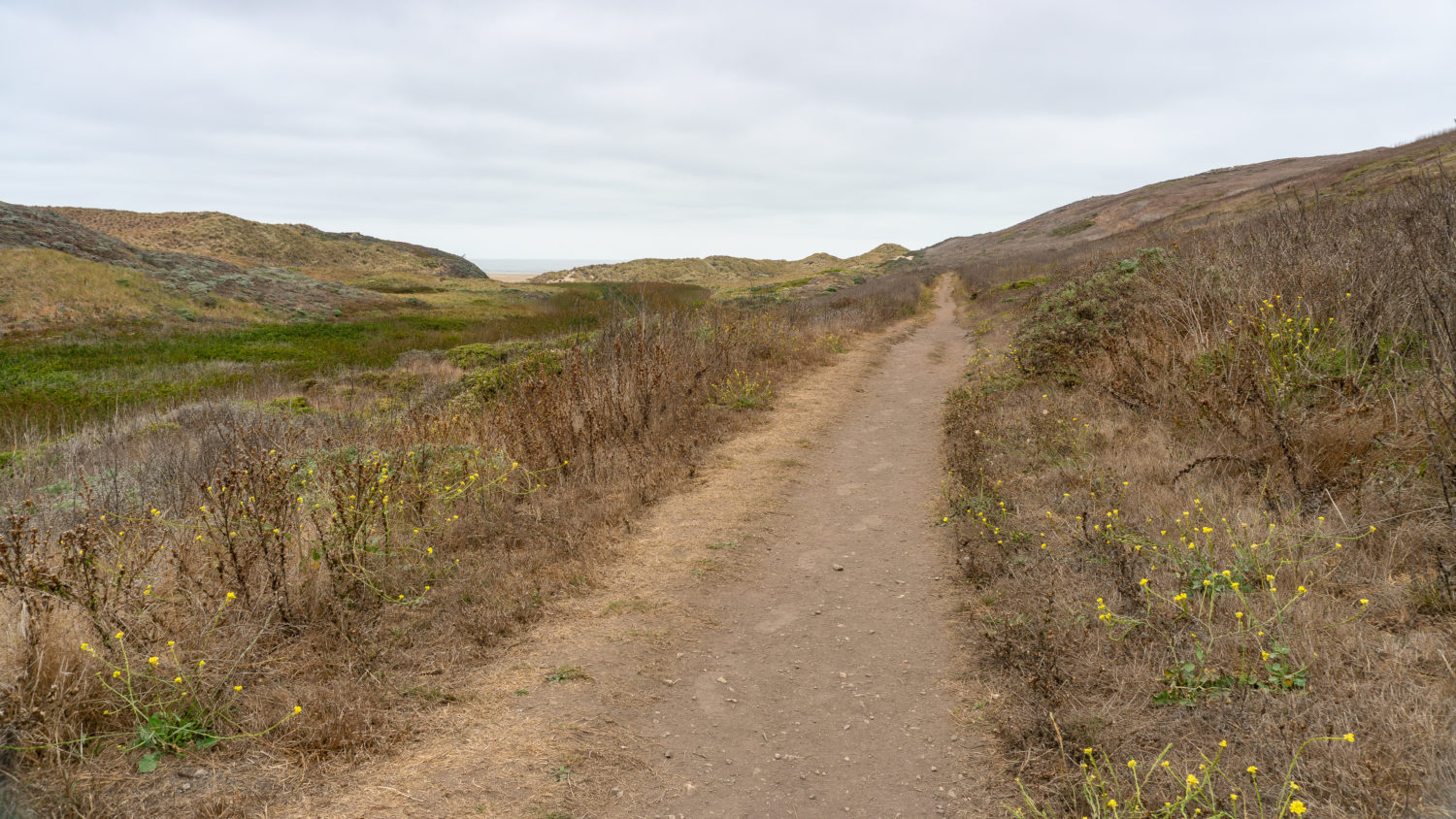 Kehoe Beach on the Point Reyes National Seashore | Modern Hiker