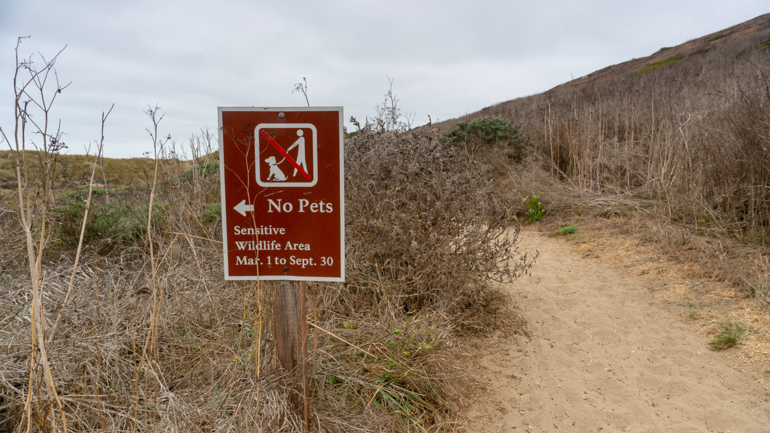 Kehoe Beach on the Point Reyes National Seashore | Modern Hiker