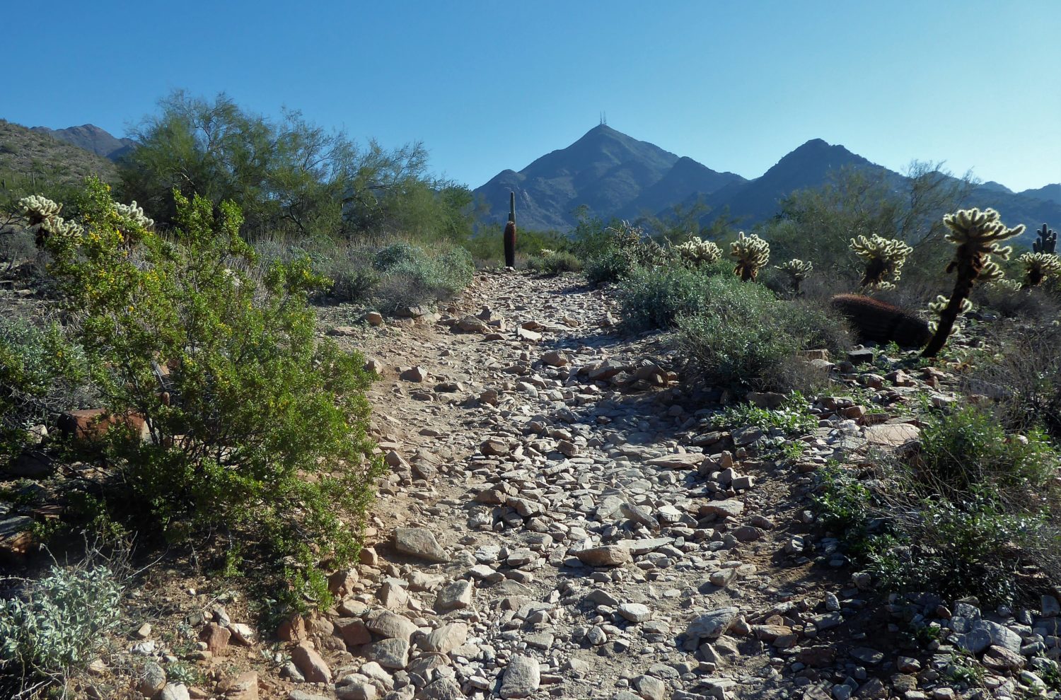 Gateway Loop Trail in Scottsdale | Modern Hiker
