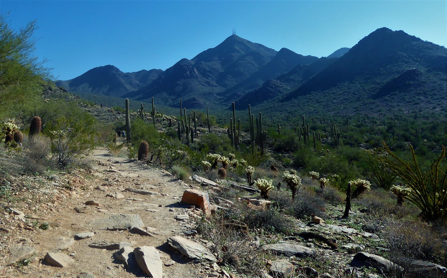 Gateway Loop Trail in Scottsdale | Modern Hiker
