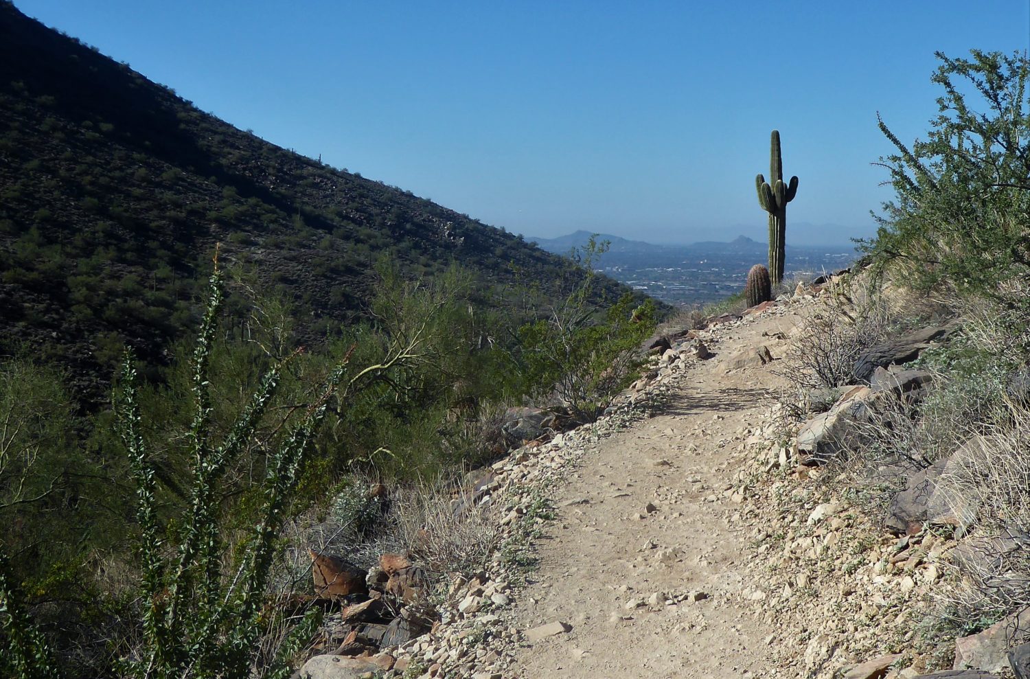 Gateway Loop Trail in Scottsdale | Modern Hiker