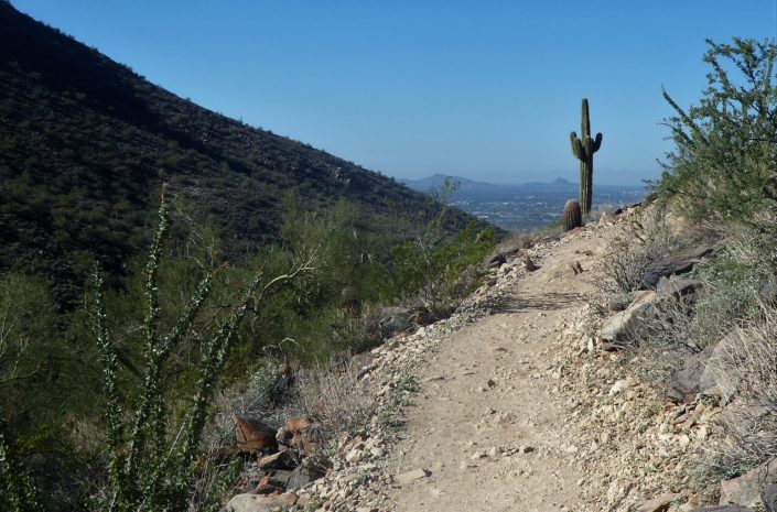 Gateway Loop Trail in Scottsdale | Modern Hiker