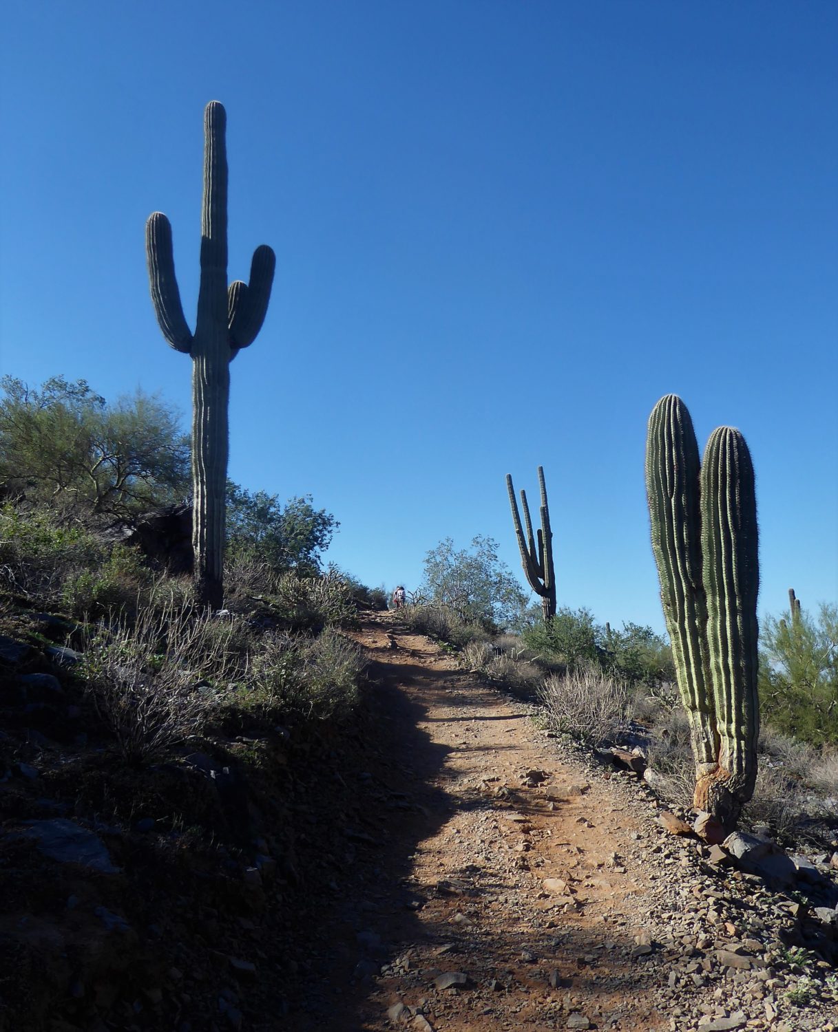 Gateway Loop Trail in Scottsdale | Modern Hiker