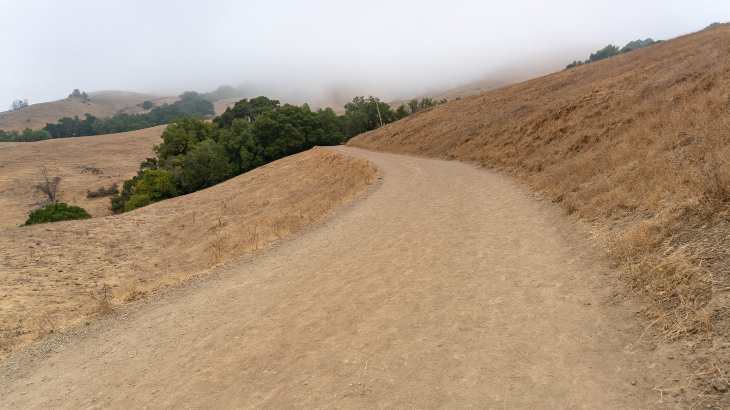 Mission Peak in the San Francisco Bay Area | Modern Hiker