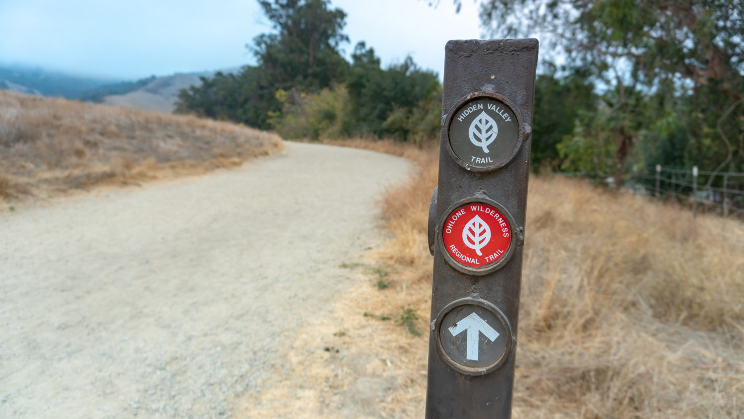 Mission Peak in the San Francisco Bay Area | Modern Hiker