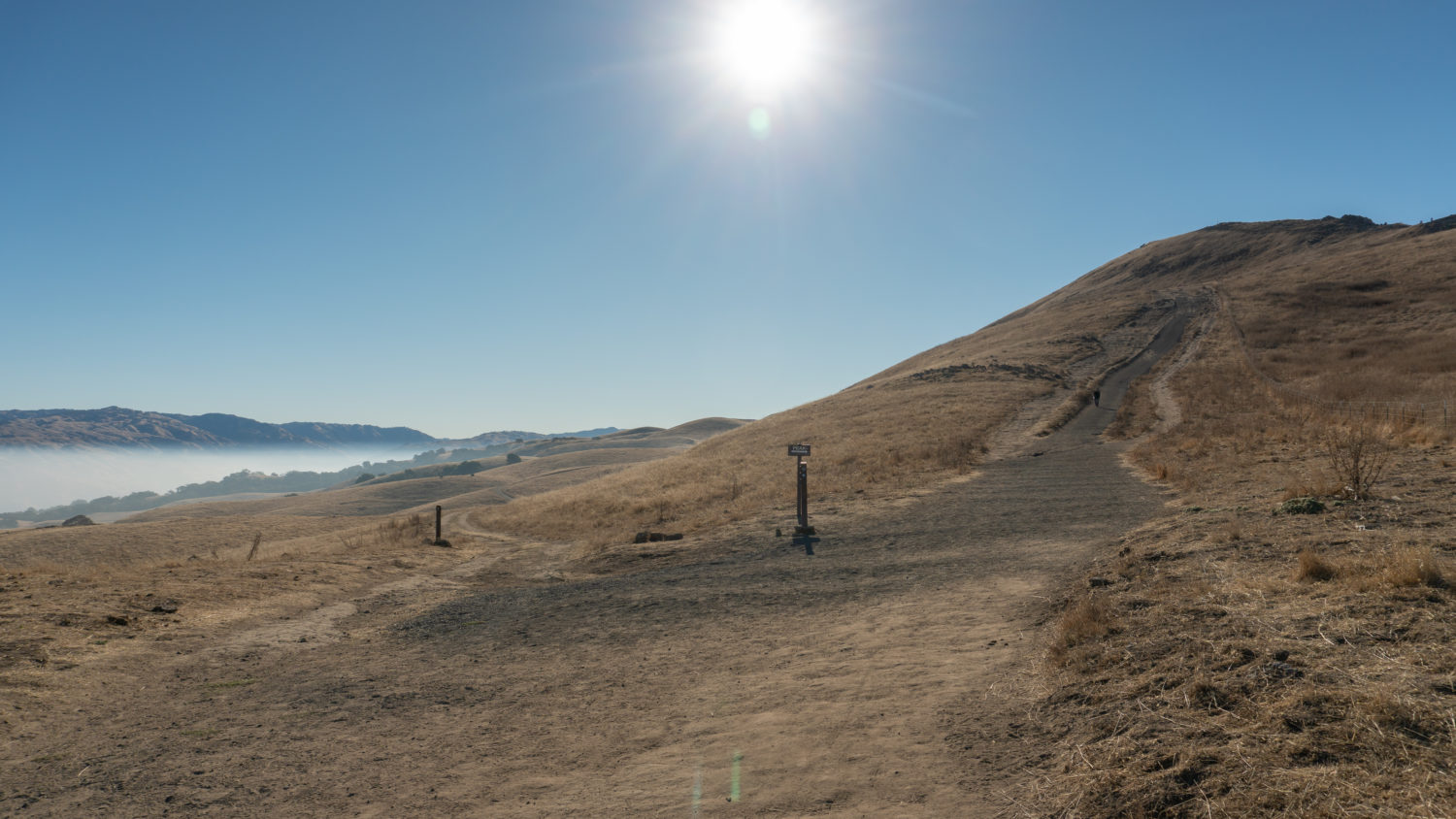 Mission Peak in the San Francisco Bay Area | Modern Hiker