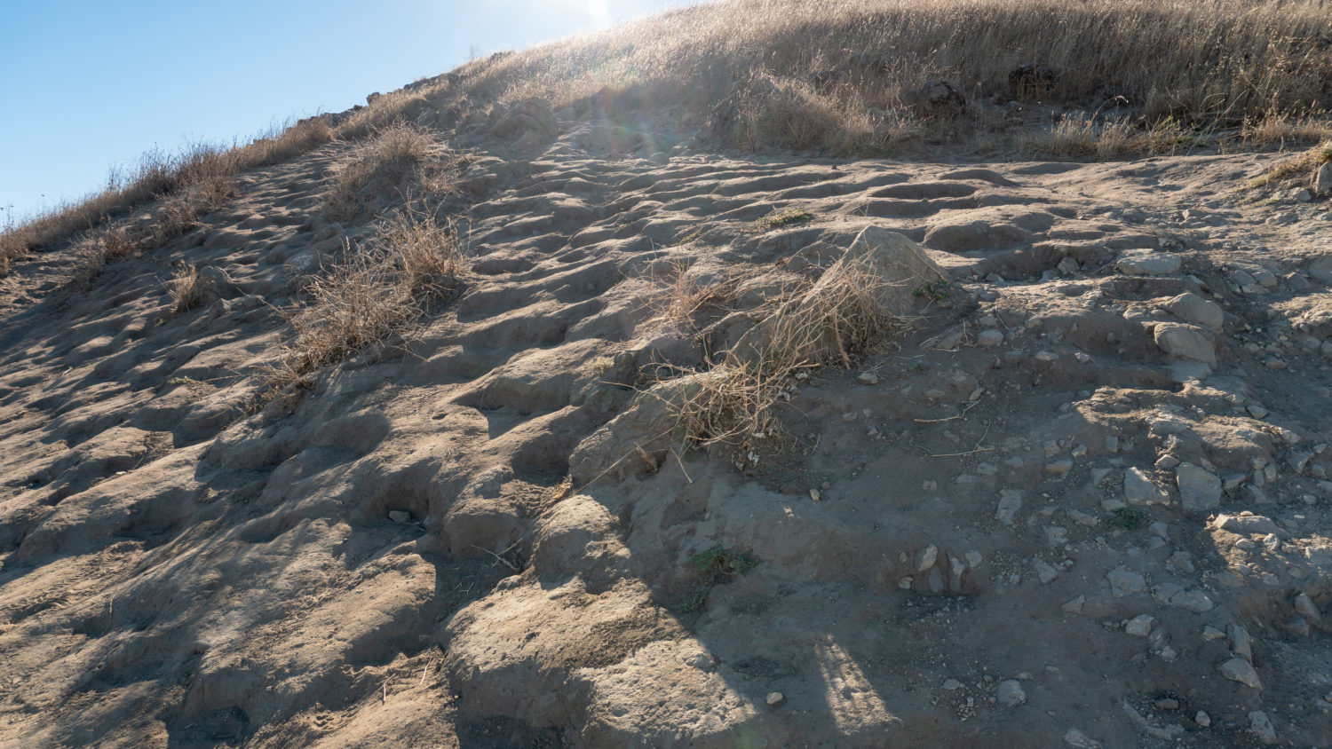 Mission Peak in the San Francisco Bay Area | Modern Hiker