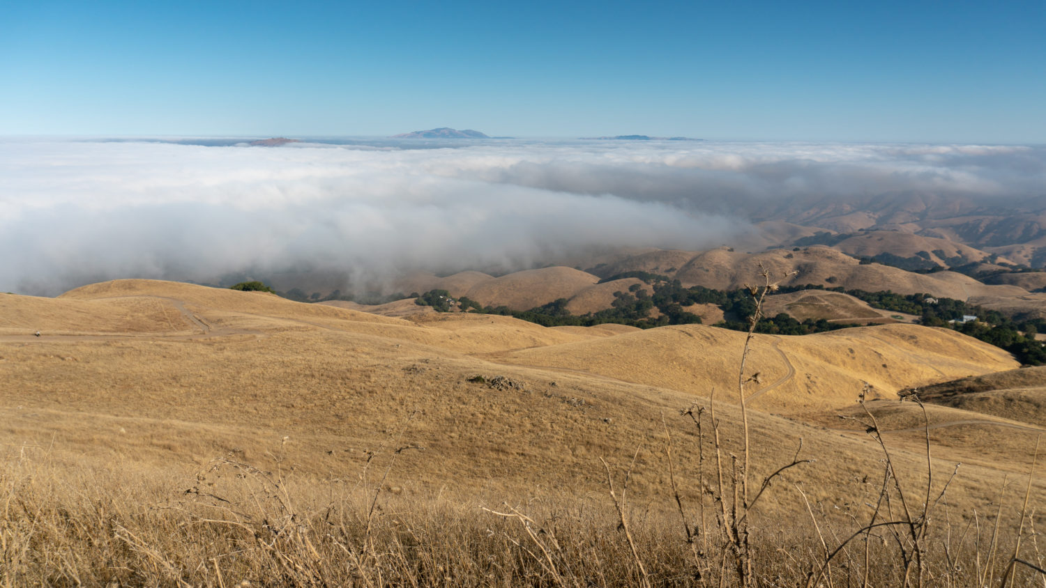 Mission Peak in the San Francisco Bay Area | Modern Hiker